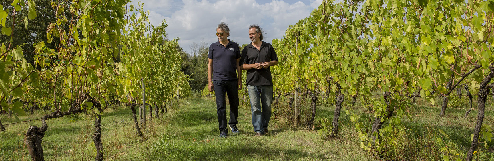 Bocelli 1831 - Official Bocelli Family Wines